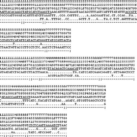 Alignment Of Polymorphic Nucleotide Sites From Third Codon Positions