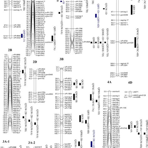 Location Of Qtls With Additive Effects Epistatic Effects And