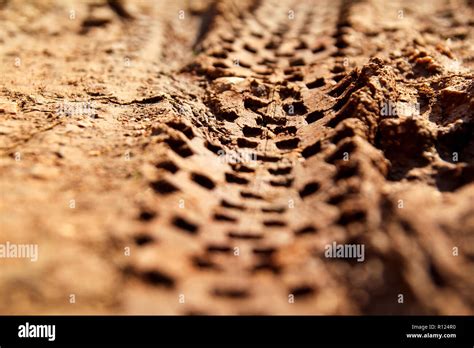 Bike Tire Tracks On Muddy Trail Royalty Tire Tracks On Wet Muddy Road