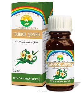 Масло чайного дерева от вшей и гнид: как применять, отзывы и эффективность