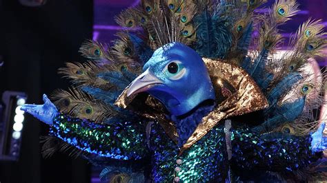 Introducing The Masked Singer Featuring Televisions Hottest Peacock