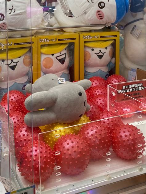 日版 小突兔 Usagyuuun 幼稚園 興趣及遊戲 玩具 And 遊戲類 Carousell