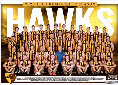 Laminated 2023 Carlton Blues Team Posterafl Football Big 420mm 1 £15