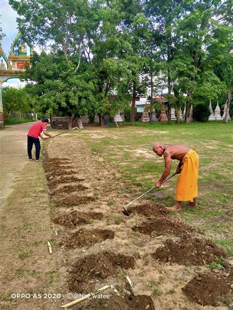 วันที่11สิงหาคม2563 วัดโสกผักหวาน ยโสธร