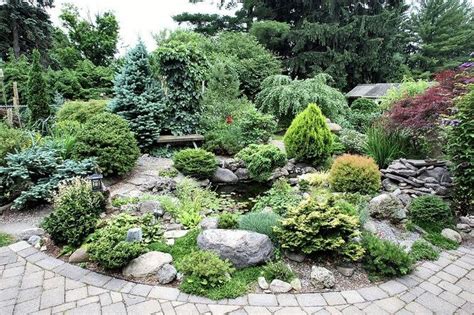 Dwarf Conifer Garden In Dewitt Ny Cny Homes Pinterest Conifers