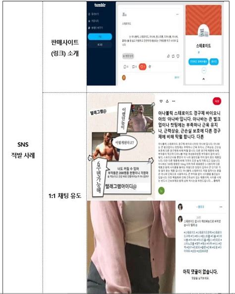 근육 강화 몸짱 효과 표방 단백동화스테로이드 등 온라인 불법판매 95건 적발