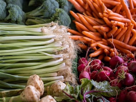 15 Quick And Delicious Celery Root Recipes To Brighten Your Meals