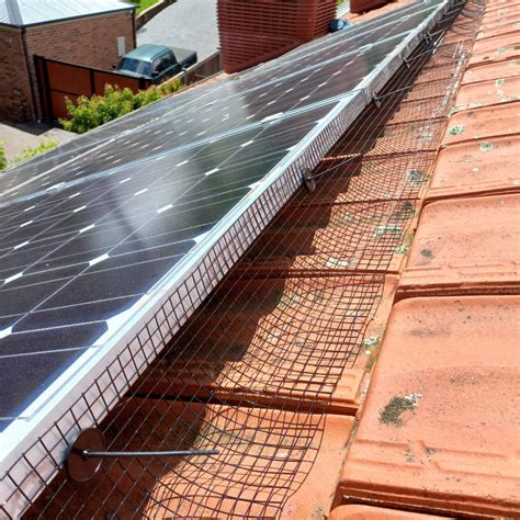 Bird Proofing Mpandg