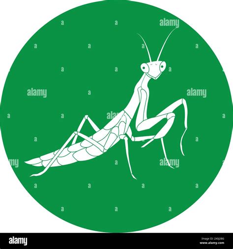 Grasshopper Icon Vector Illustration Simple Design Stock Vector Image