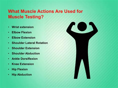 Handheld Dynamometers And Manual Muscle Testing Pdf