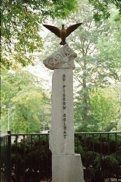 Winged Warriors Of World Wars I And Ii America Comes Alive