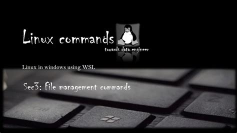 Sec3 File Management Commands Linux Commands WSL Towards Data