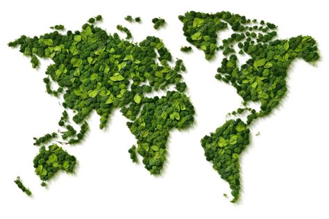 Premium Photo Green World Map Isolated On White Map Of The World