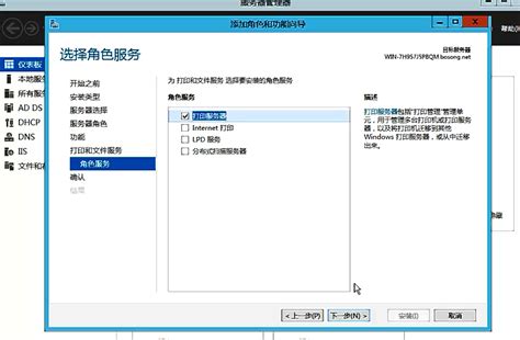 网络服务器的配置与管理 Csdn博客