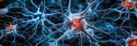 Closeup Visualization Of Neurons Synapses Brain Activity And Neural Connections Premium Ai