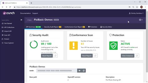 Crunch API Security Platform Dashboard Overview YouTube