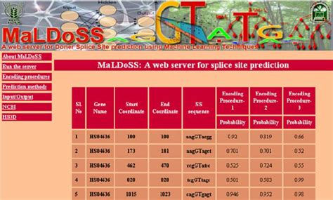 snapshot of the result page after execution of an example dataset with