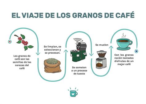 Top 161 Proceso del café paso a paso con imágenes Elblogdejoseluis