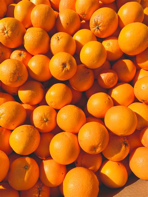 20 Intriguing Facts About Oranges Discover Walks Blog