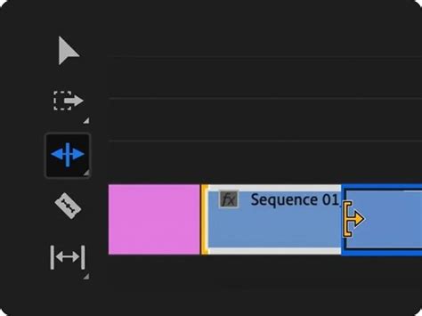 professional video editing and trimming adobe