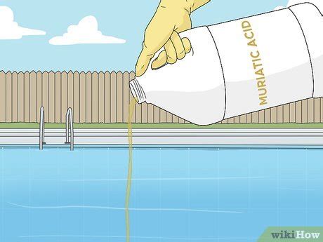 How To Treat Algae In A Swimming Pool With Pictures WikiHow Life