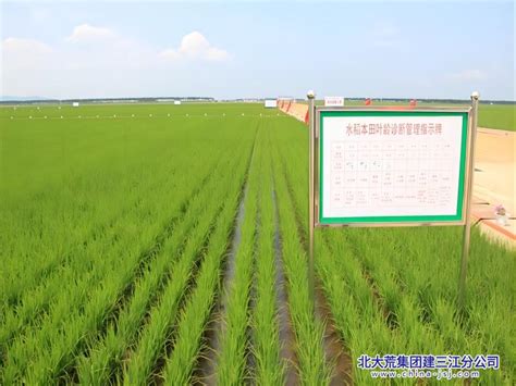 八五九农场有限公司公司科技赋能智夏管 慧集质力耕良田 农机新闻网
