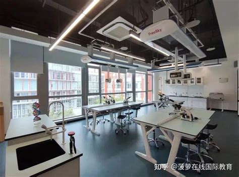 上海圣华紫竹双语学校怎么样？ 知乎