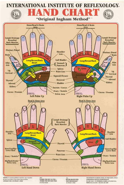 Hand Chart ~ Original Ingham Method Of Reflexology Wall Chart