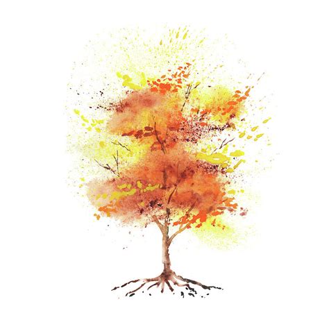 Autumn Tree Watercolor At Getdrawings Free Download