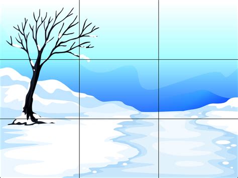 Macos Draw Grid With Cells Of Specific Size Over An Image Stack