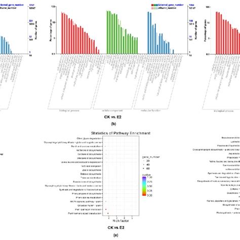 Differentially Expressed Genes Go Classification A C And Enrichment