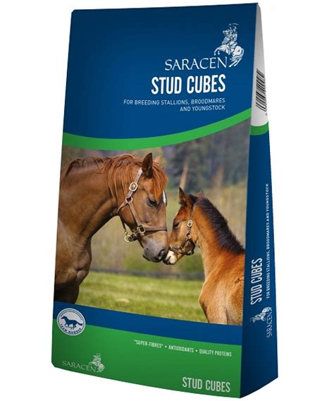 Stud Cubes Dierentotaal