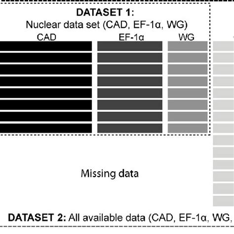 taxon and gene sampling design two separate datasets were constructed