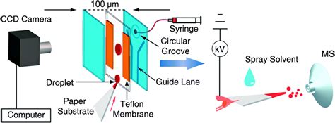Paper Spray Mass Spectrometry Quotes Trending