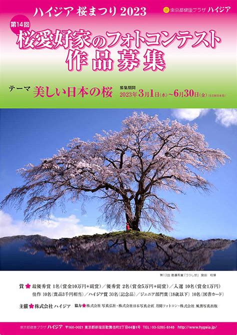 第14回 桜愛好家のフォトコンテスト 作品募集 風景写真出版からのおしらせ