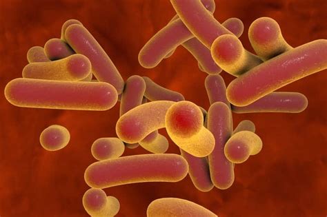 Diasorin Molecular Receives Fda Clearance For C Difficile Assay