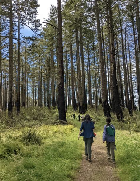 Trip Report Point Reyes BSA Troop 260 San Jose