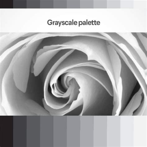 Grayscale A Monochromatic Color Palette Based On Gray Is Called