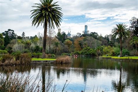 Royal Botanic Gardens Melbourne Australia Day Fasci Garden