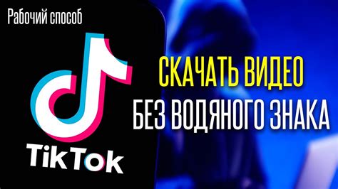 Как скачать видео из Тик Ток Tik Tok без водяного знака за 1 минуту