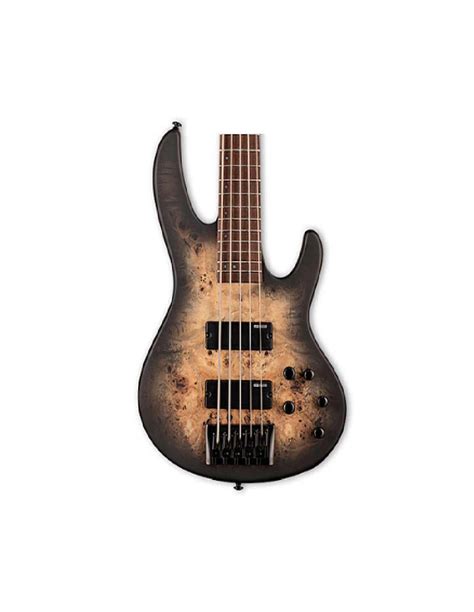 Esp Ltd D 5 Blknbs