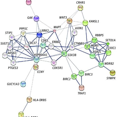 Functional Gene Network For Novel Pleiotropic Loci From The Present