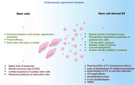 Comparison Of Advantages And Limitations Between The Use Of Stem Cells