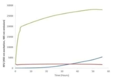 Novus Biologicals Recombinant Human Alpha Synuclein Active Pre Formed