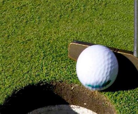 What Kind Of Grass Seed Is Used On Golf Greens At Ester Gordan Blog