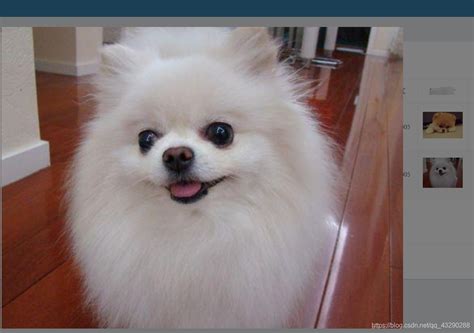 Vueelementui 图片放大最好用的组件element 图片放大镜 Csdn博客