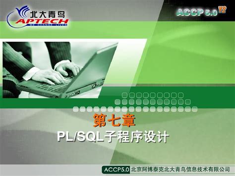 第七章 pl sql子程序设计 oracle9i青鸟 word文档在线阅读与下载 无忧文档