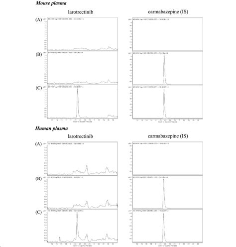 Representative Mrm Chromatograms Of A Double Blank Plasma B Blank
