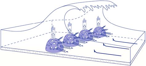 Reef Ball Designed Reef Technology And Modules
