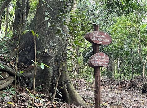 Exploring Dunumadalawa Kandy Sri Lanka Mihipedia Lk